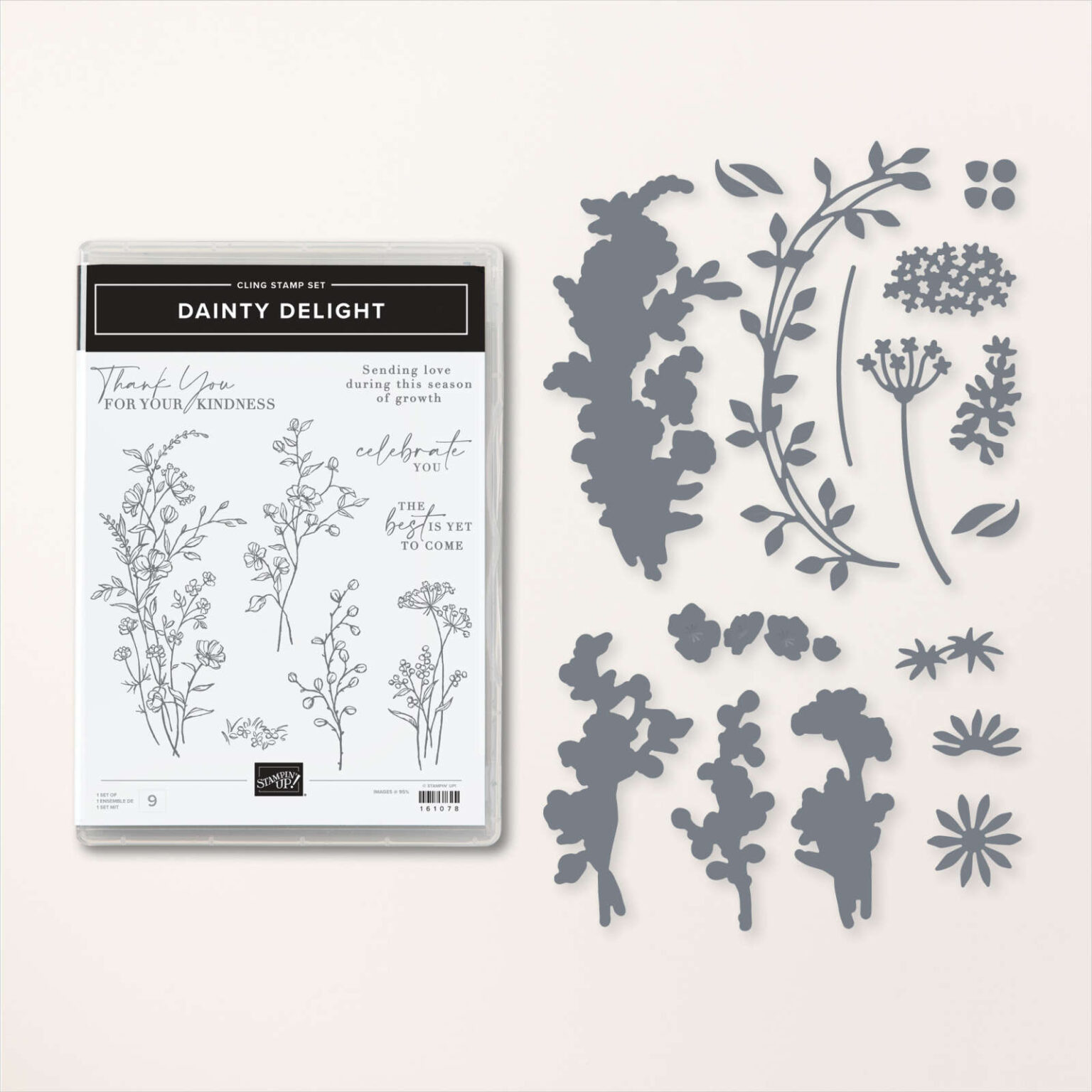 Dainty Delights Acetate Pop-Up Card – Stamp ART Connection